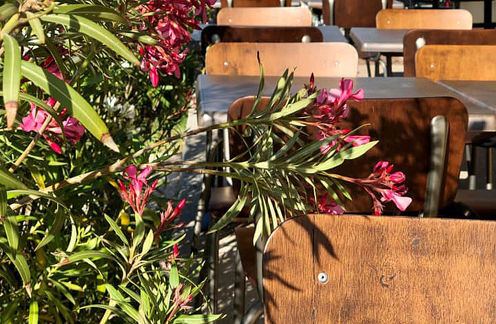 Le Vingt Six Douze - Restaurant Porticcio